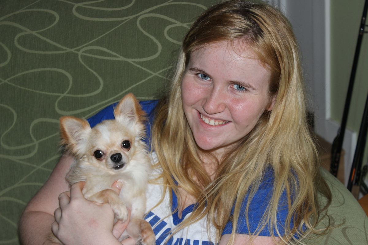 Welcoming Mr Nibbles | Figgy's Chihuahuas AKC Show Breeder/Handler in Florida